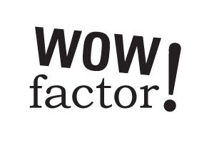 Stephen Witte Associates Launches WOW Factor! Training | I+S Design